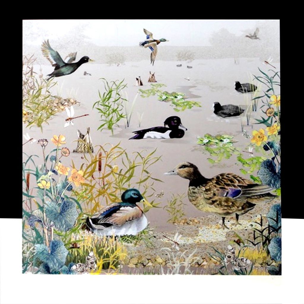 Natural Wildlife Cards - Decorque Cards
