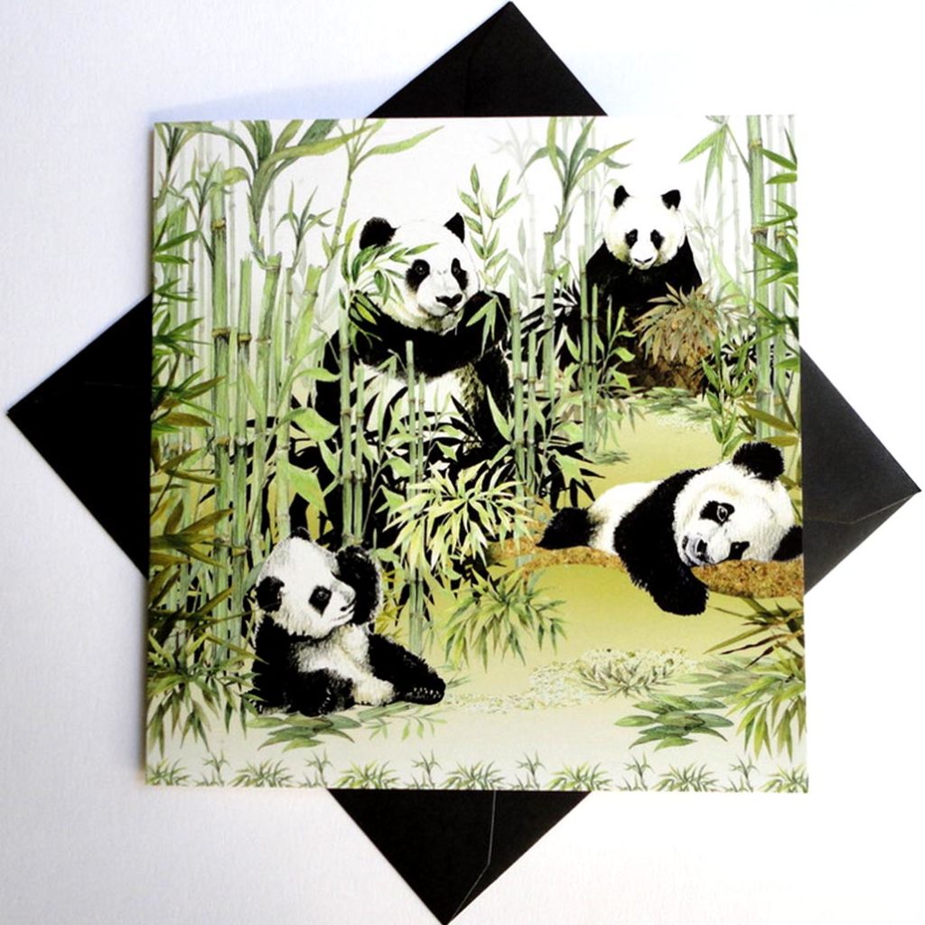 Bamboo of Pandas Card - Decorque Cards
